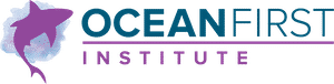 Ocean Cycles